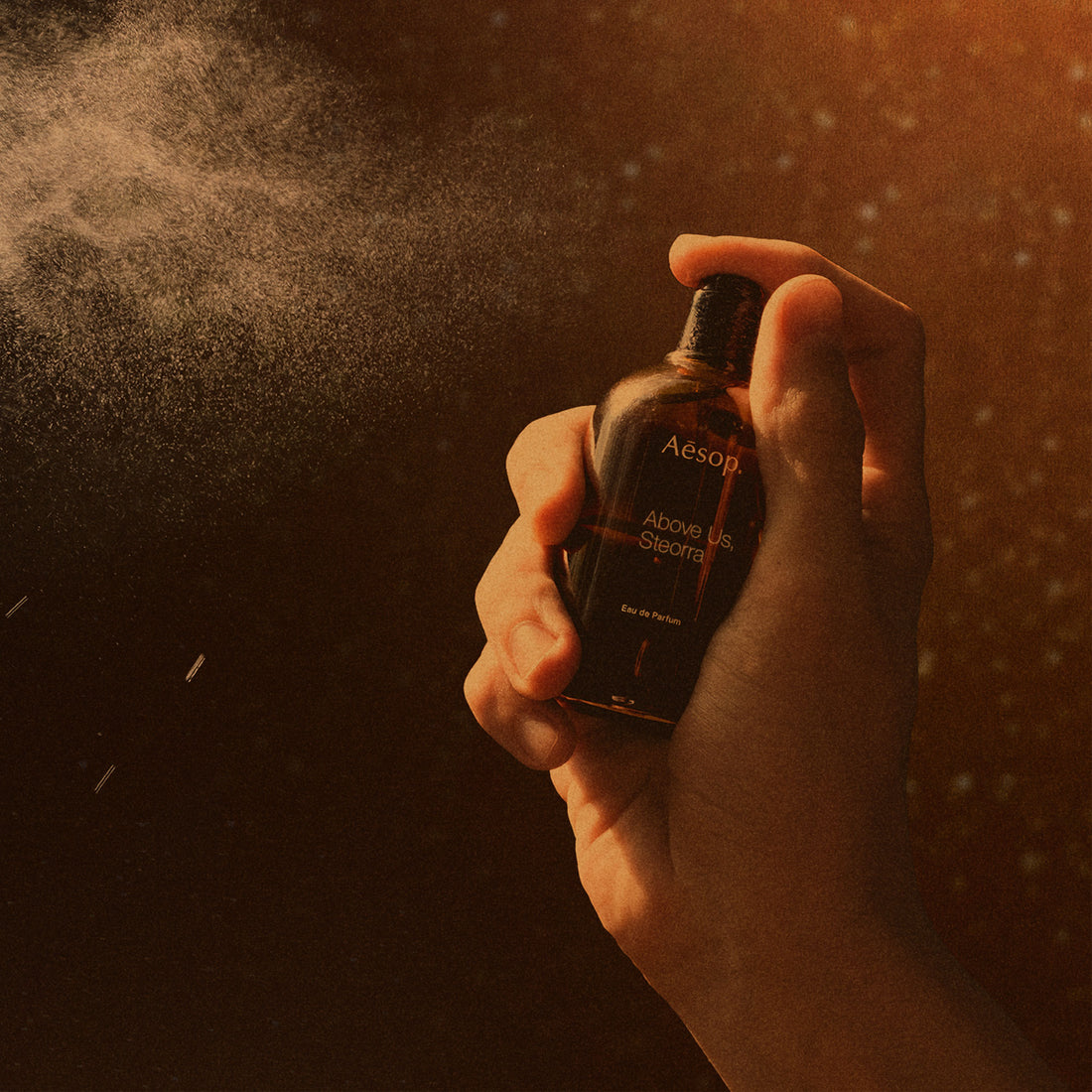 Aesop Fragrances | Eau de Parfum | Aesop Singapore
