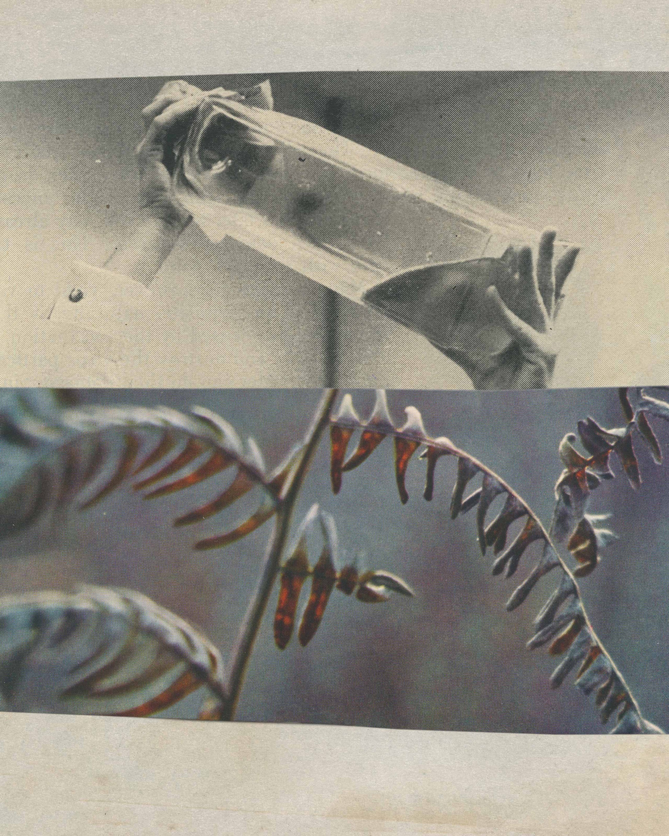 Career opportunities | Aesop Singapore